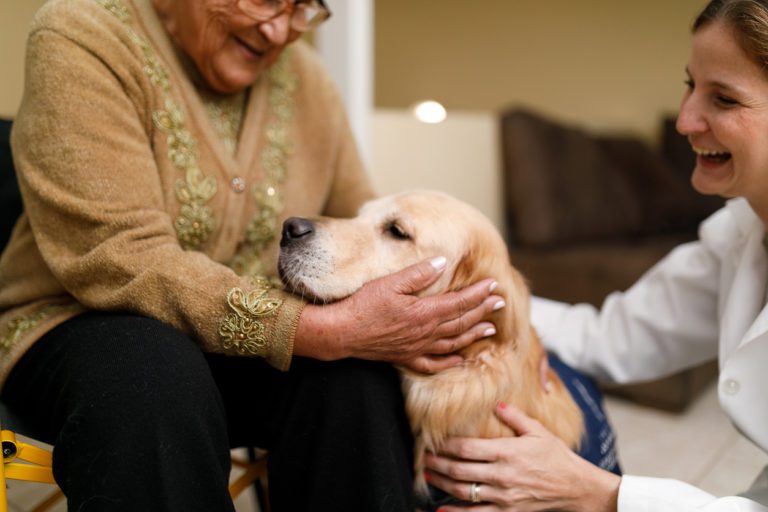Benefits of Dog Therapy Training | Veterinary Healthcare Associates