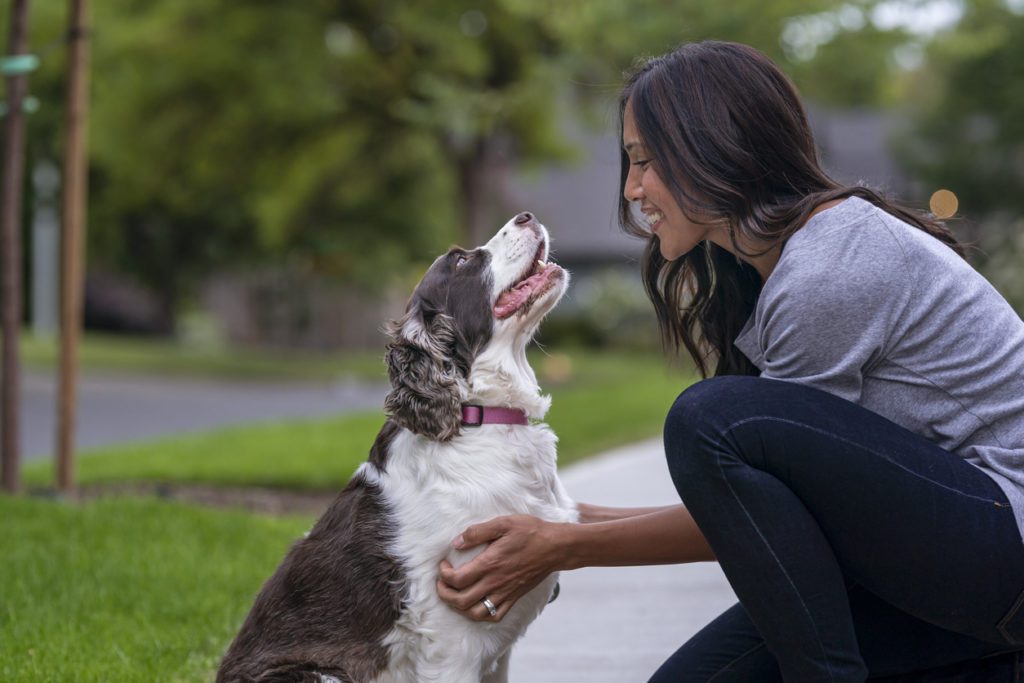 Benefits of Dog Therapy Training | Veterinary Healthcare Associates